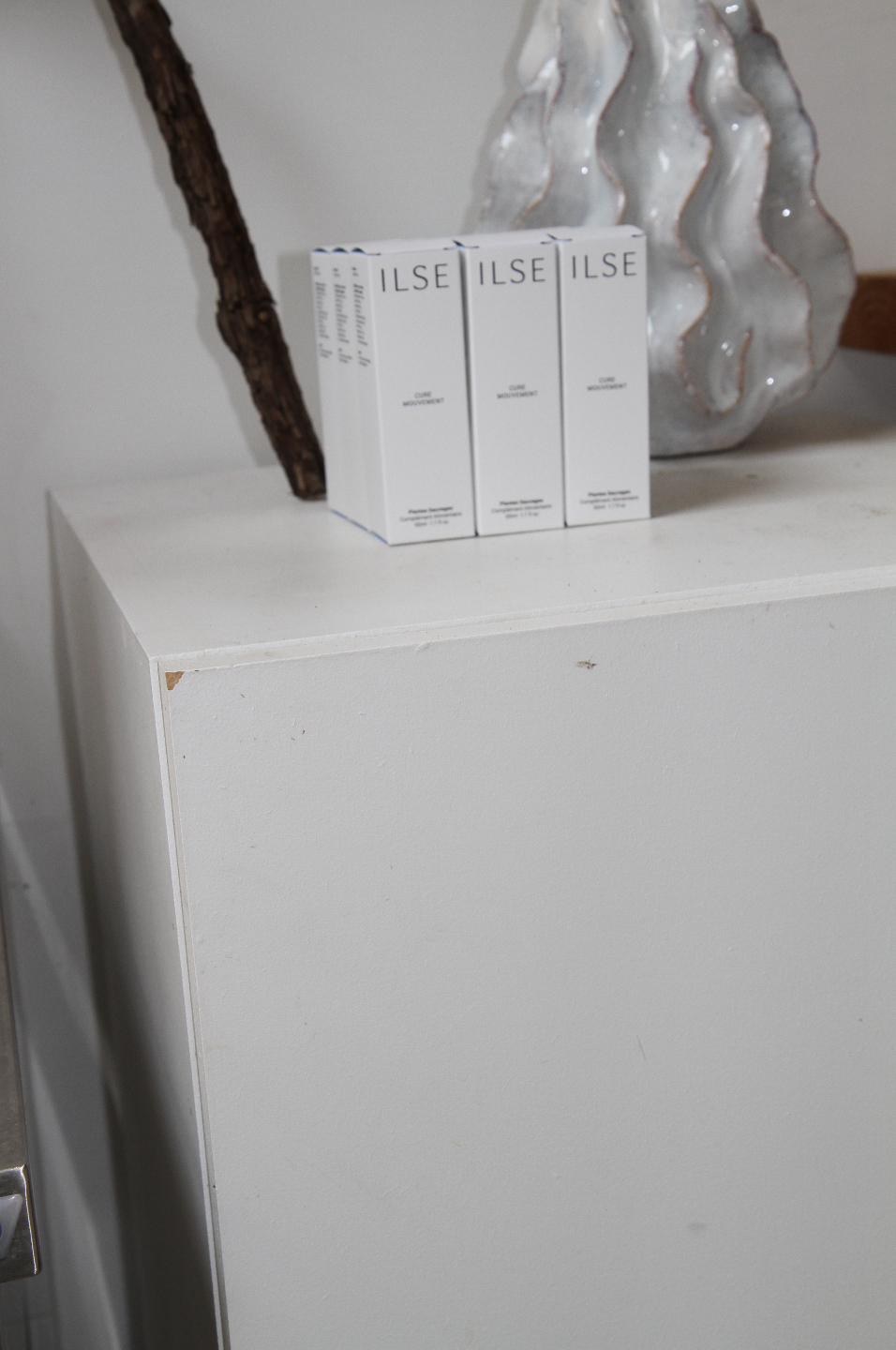 Alice Aldrin-Schrepfer, fleuriste – ILSE